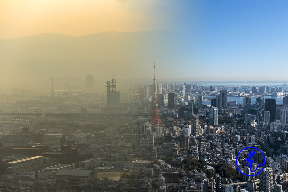 The Crucial Role of EPA 40 CFR Part 63 in Paint Filtration: A Closer L ...